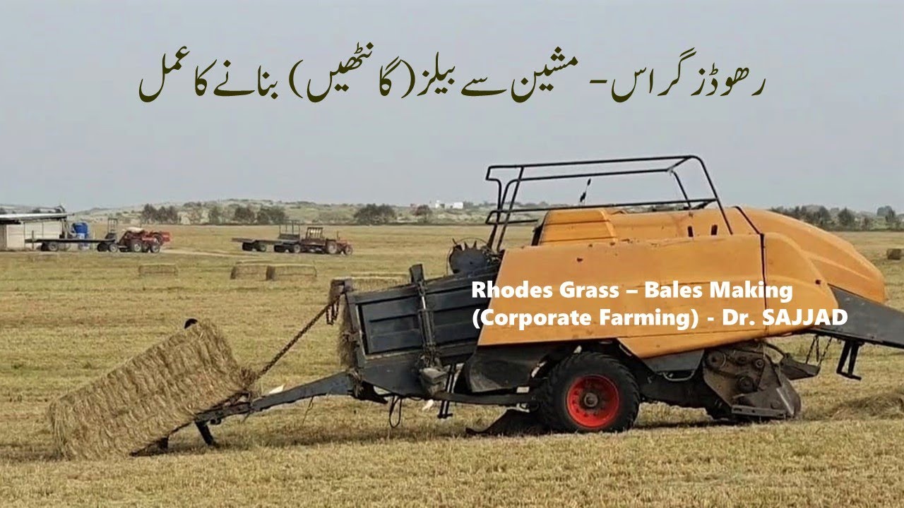 Baling Process || Hay Making || Rhodes Grass || Dr. Mohammad Sajjad ...