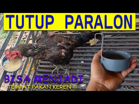 Tutup Pipa Paralon Di Sulap Menjadi Wadah Pakan Ayam Yang Keren