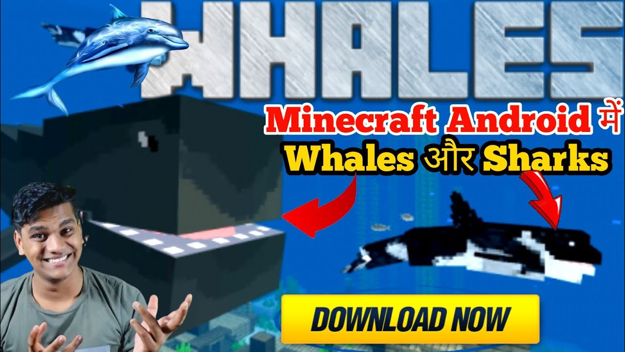 shark mod in Minecraft for Android | Shark Mod In Minecraft - YouTube