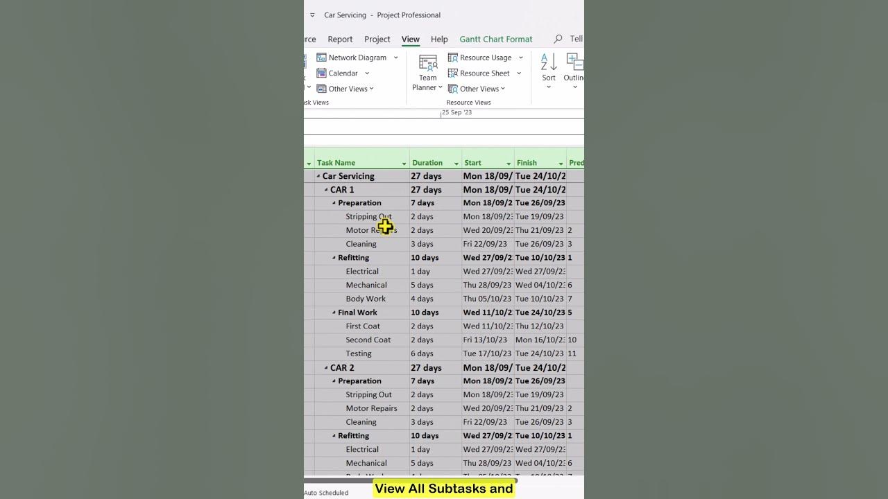 HOW TO show TASK BARS in Microsoft Project Gantt Chart #msproject # ...