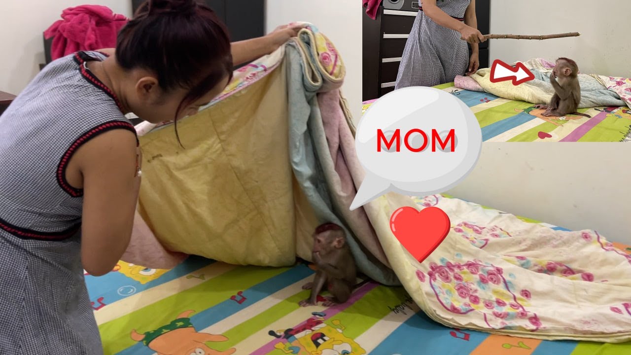 Mom Deciplined Baby Baby Tav Tav As He Pee On The Bed - YouTube