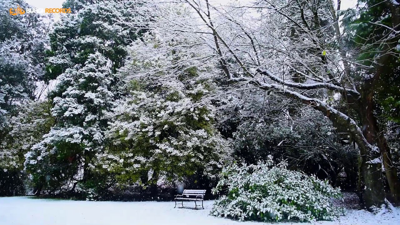 Ambient Sounds of Snow Falling/ Snow Sound Effect Free Downald/ Libre ...