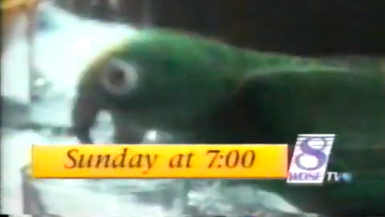 VHS blank tape: WDSE channel 8/PBS Newtons apple- flight simulator ...