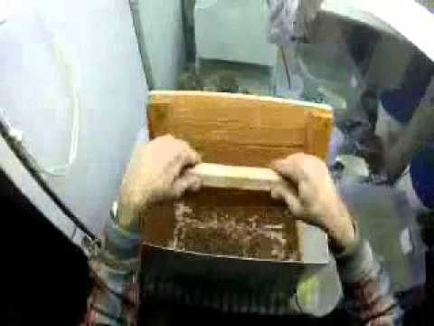 Wax Sheet Foundation Making - YouTube