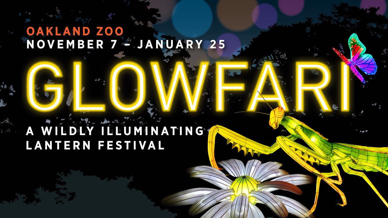 Glowfari at Oakland Zoo! - YouTube