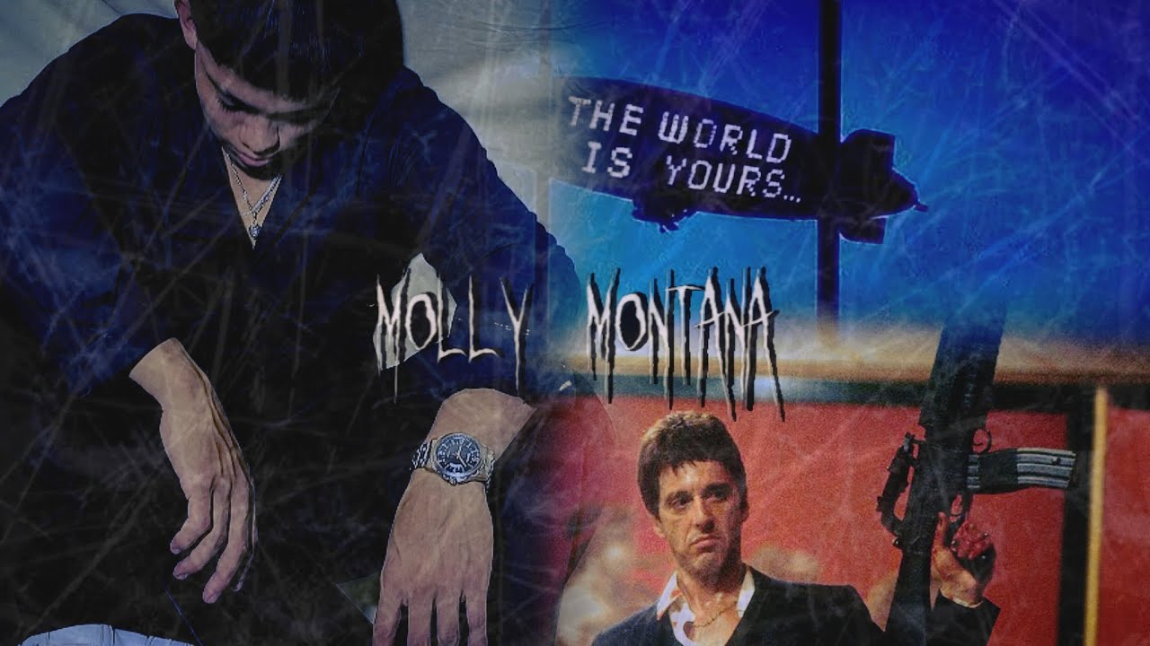 Molly - Molly Montana🥷🏽 #trapnica - YouTube