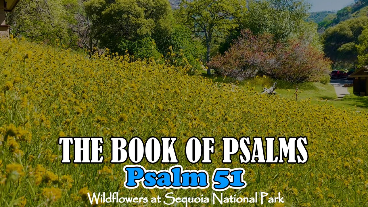 Book of Psalms | Chapter 51 (NIV) | Read by: Bong Ventura - YouTube