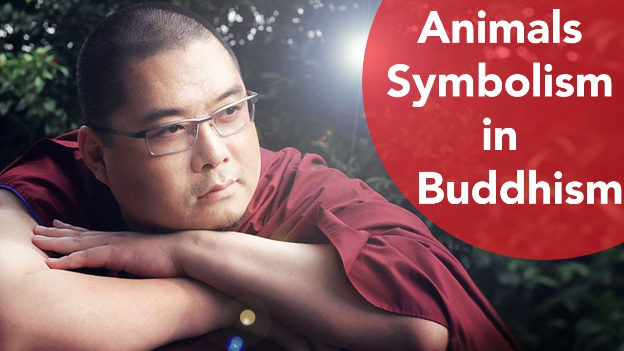 Symbolism of Animals in Buddhism - YouTube