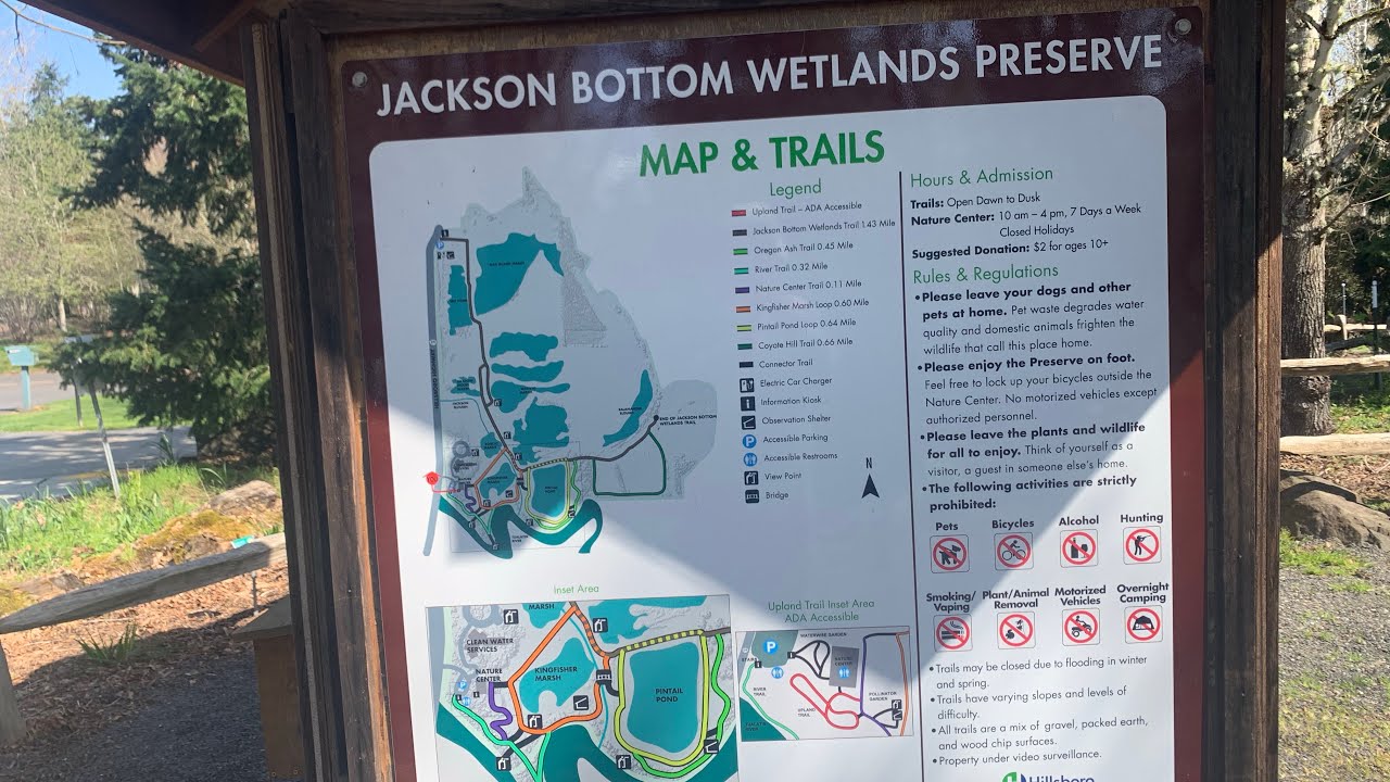 Jackson Bottom Wetland Preserve - YouTube