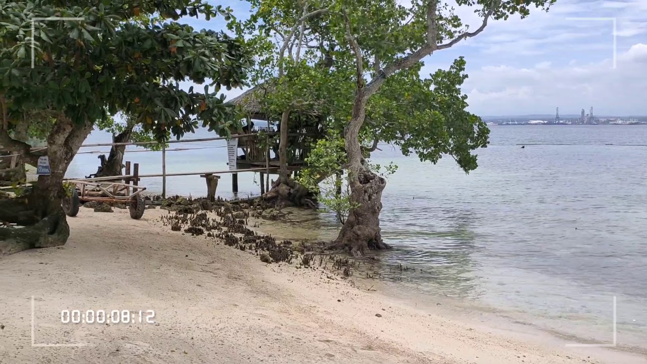 Tiny Hauz Mini Resort - YouTube