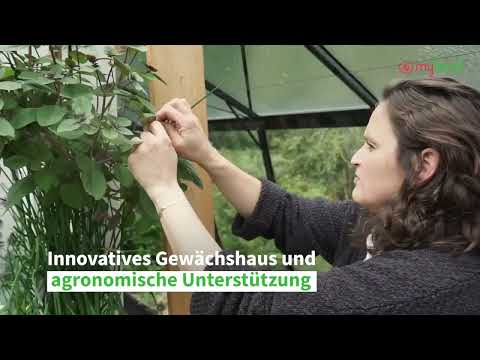 30 Sekunden, um die innovativen myfood-Gewächshäuser zu entdecken