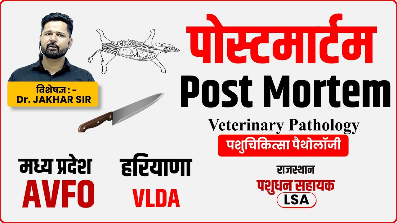 Veterinary Pathology पोस्टमार्टम, Post Mortem, Autopsy पैथोलॉजी, वेटनरी ...