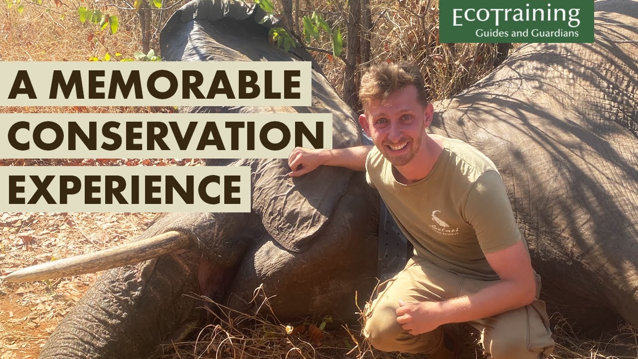 Finding his People l Student interview with Edward Caplan | EcoTraining ...