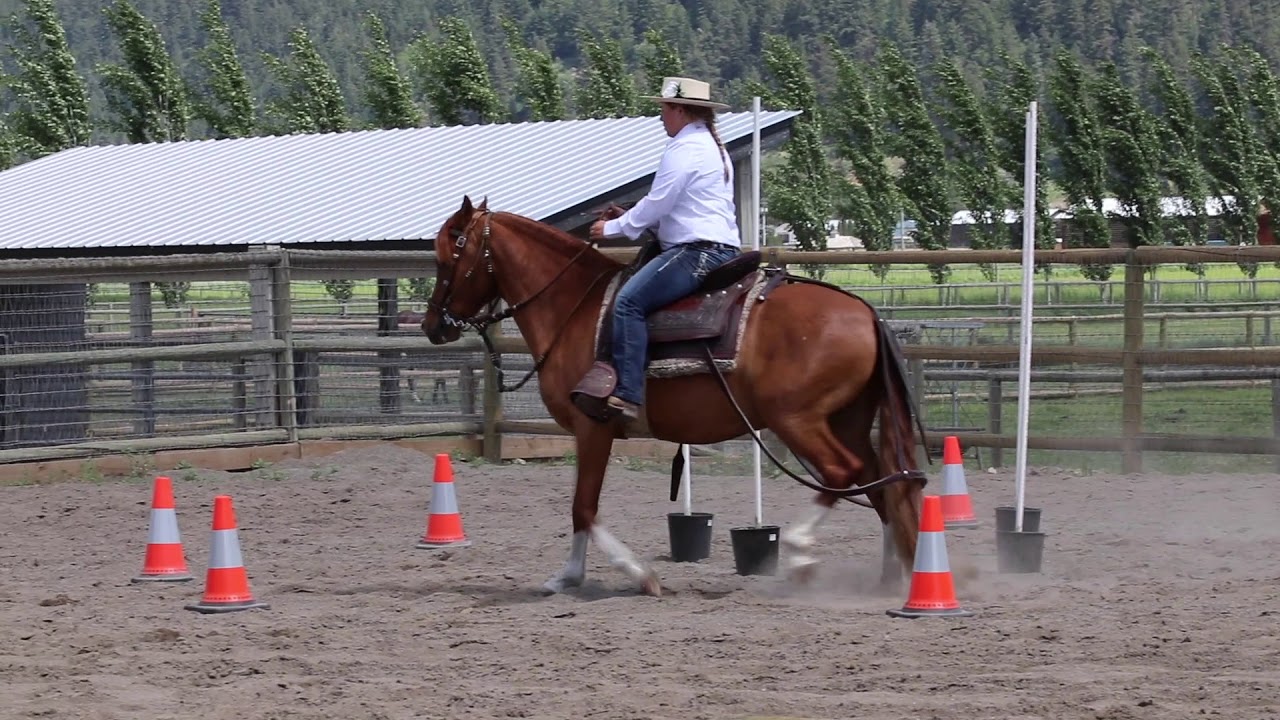 RSTD Tobiano performing the Working Equitation Course - YouTube