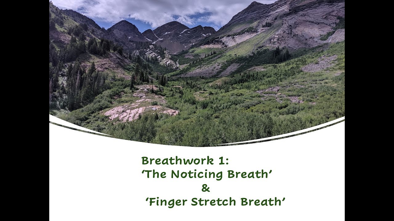 Breathwork 1: The Noticing Breath and ’Finger Stretch Breath’ (4:58 ...