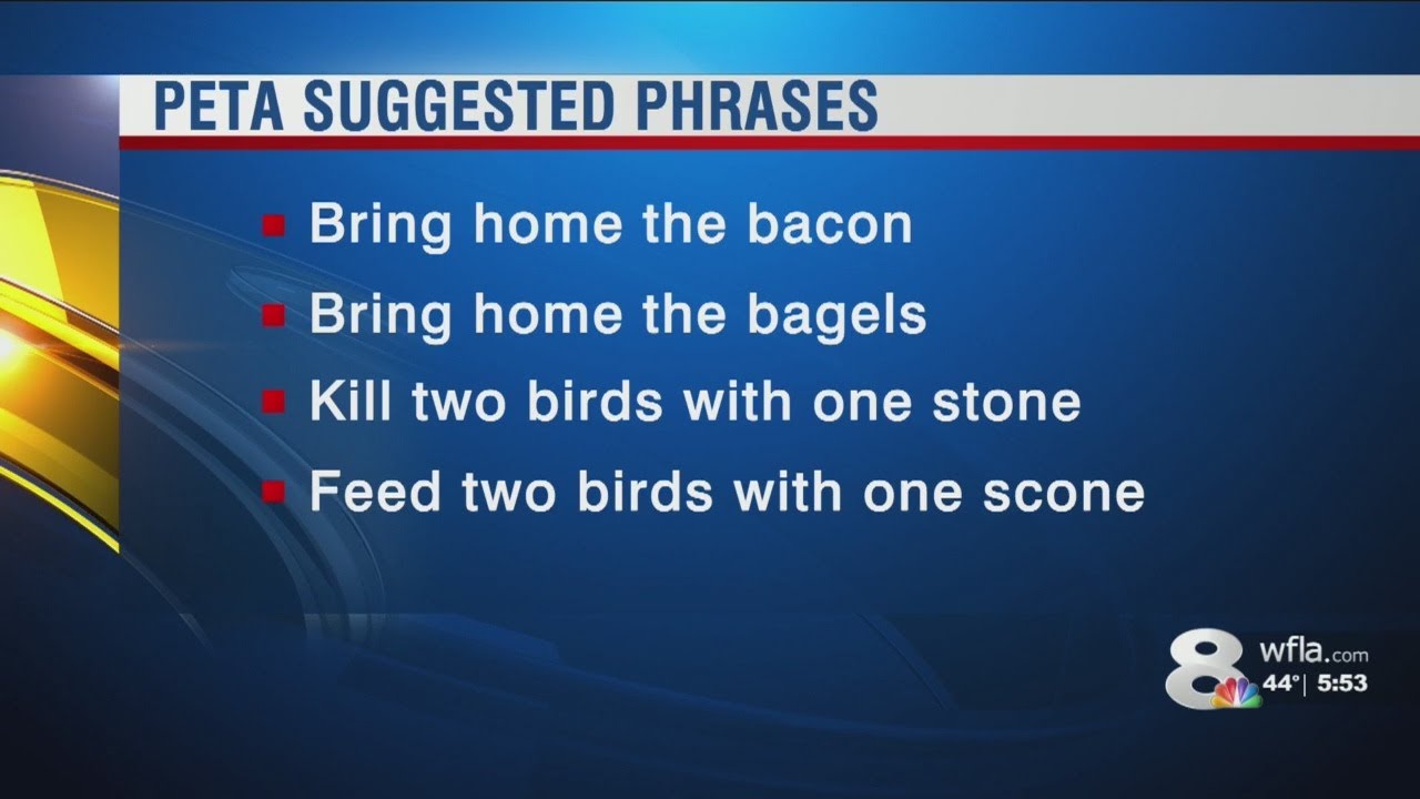 peta phrases - YouTube