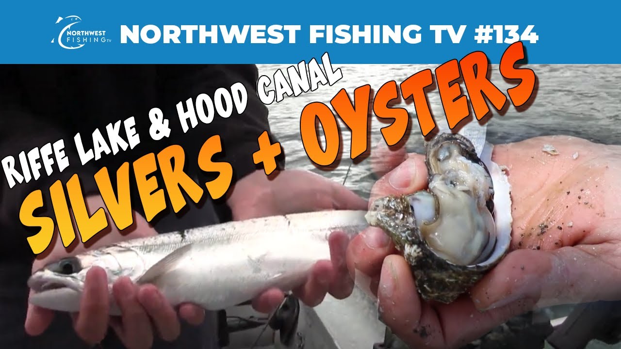 Riffe Lake Silvers + Hood Canal Oysters | Northwest Fishing TV #134 ...