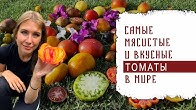 Нетипичный фермер - YouTube