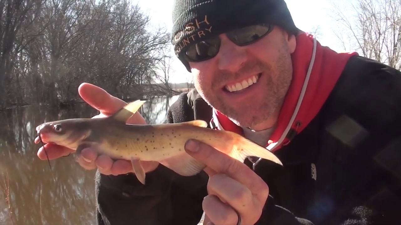 Too Early for the Sucker Run? - YouTube