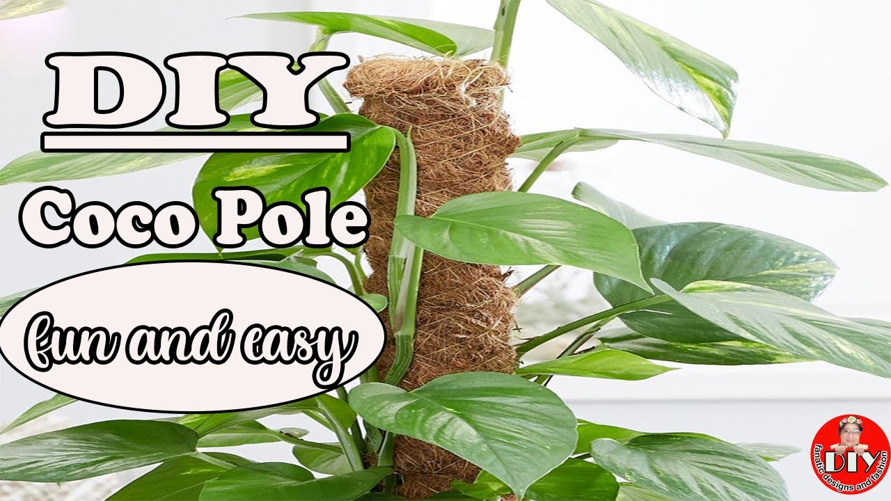 How to make Coco Pole for your Plants! So simple, quick and easy to ...