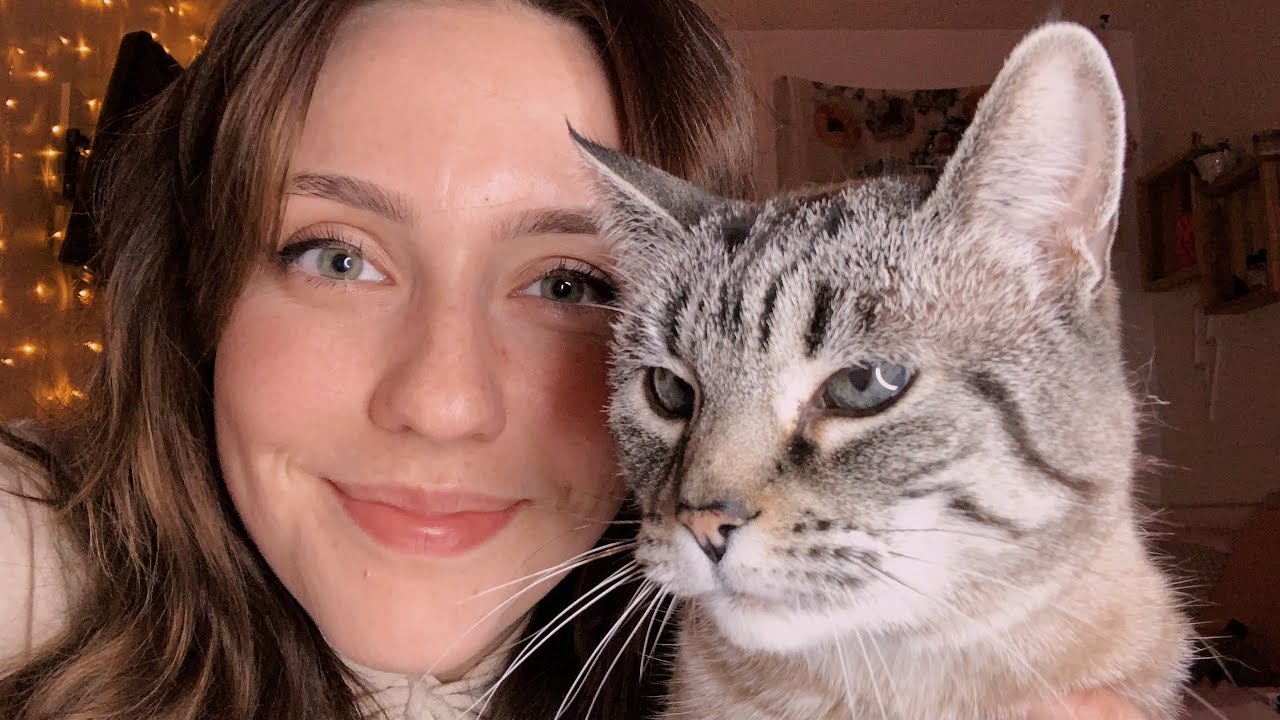 ASMR My Cat's Favourite Triggers🐱 - YouTube