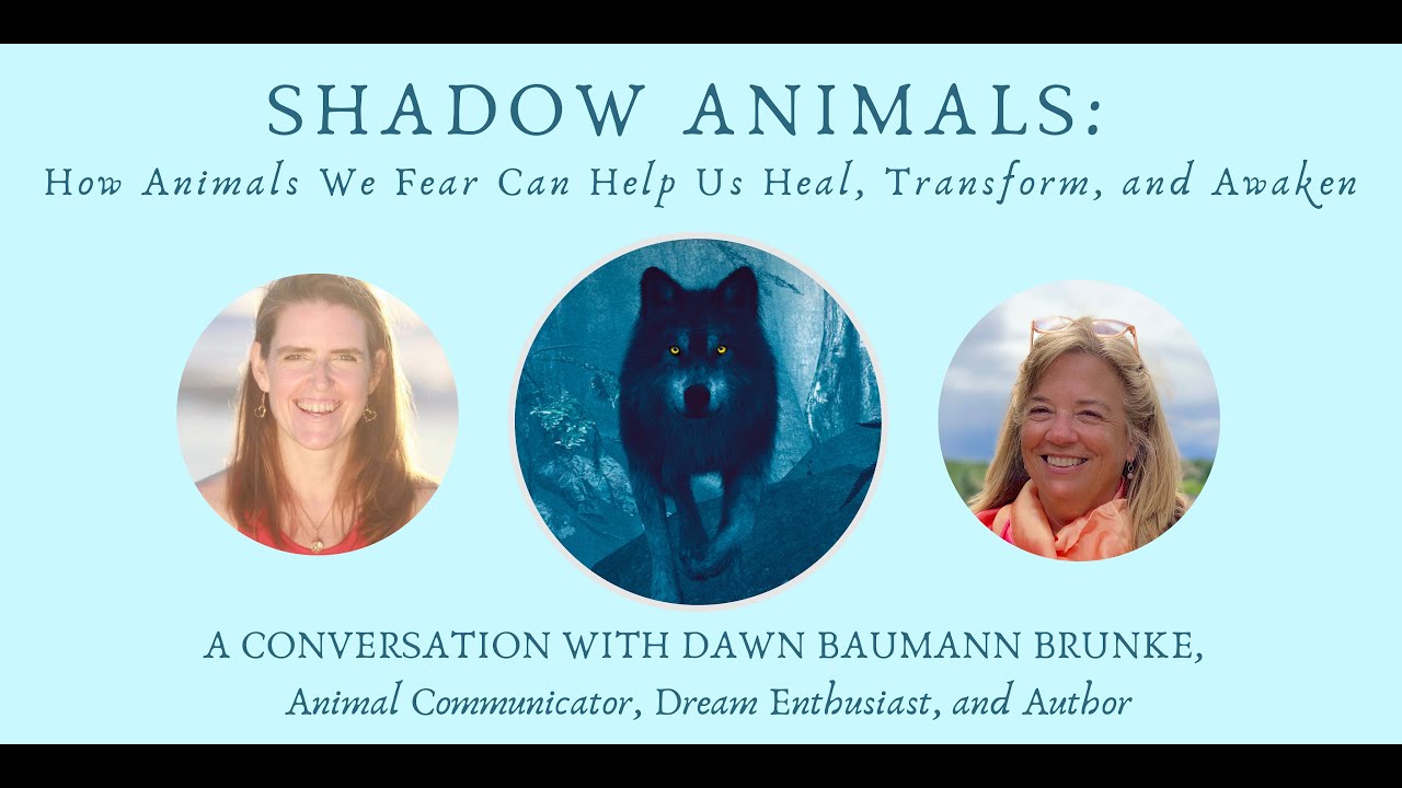 Dawn Baumann Brunke - Shadow Animals: How Animals We Fear Can Help Heal ...