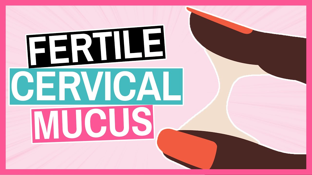 Cervical Mucus Foods That Make Ovulation Discharge And Cervical Mucus