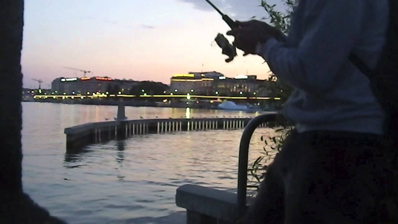 Comment faire du Fish en 2min 15sec! Peche aux leurres en direct ...