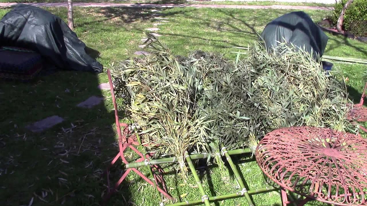 Making Bamboo Thatch and attaching it for a roofing panel - YouTube