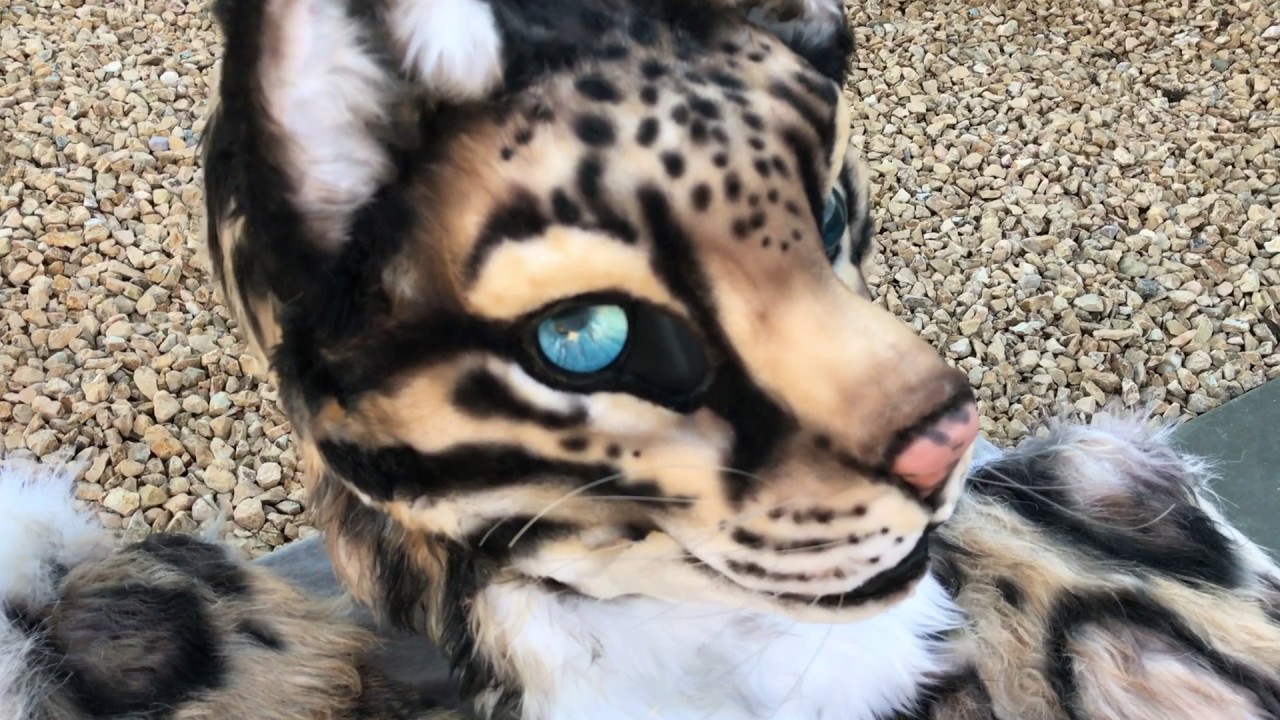 Clouded Leopard Partial fursuit with 4D eyes - YouTube