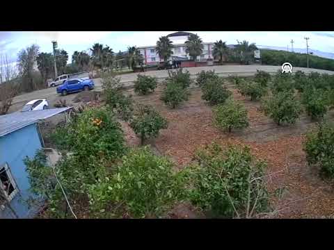 Hatay'da Ağaçlara Çarpan Otomobil İkiye Bölündü Sürücü Yaralı