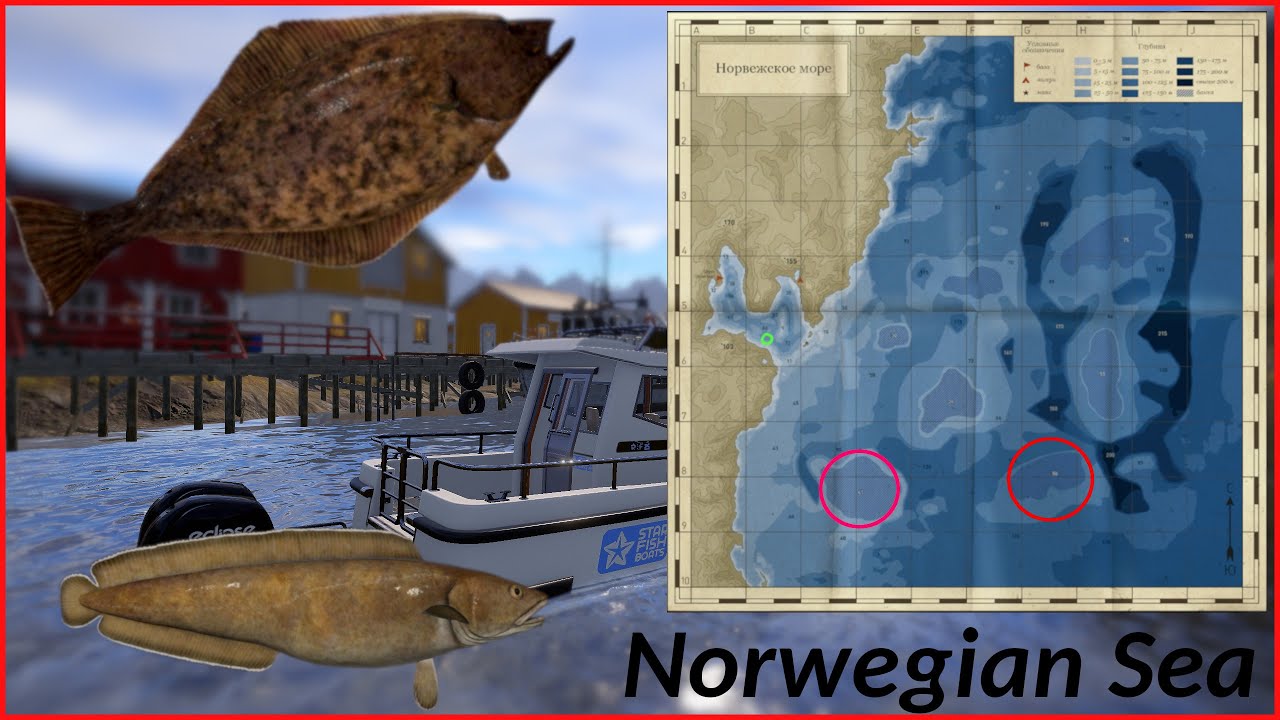 2 x spot Norwegian Russian Fishing 4 rf4 spot #264 #mjplay - YouTube