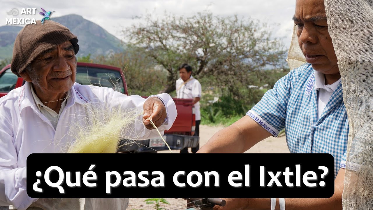 ¿Sabes que es el Ixtle? - YouTube