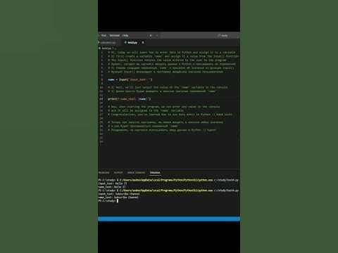 Function input data in Python #python #input - YouTube