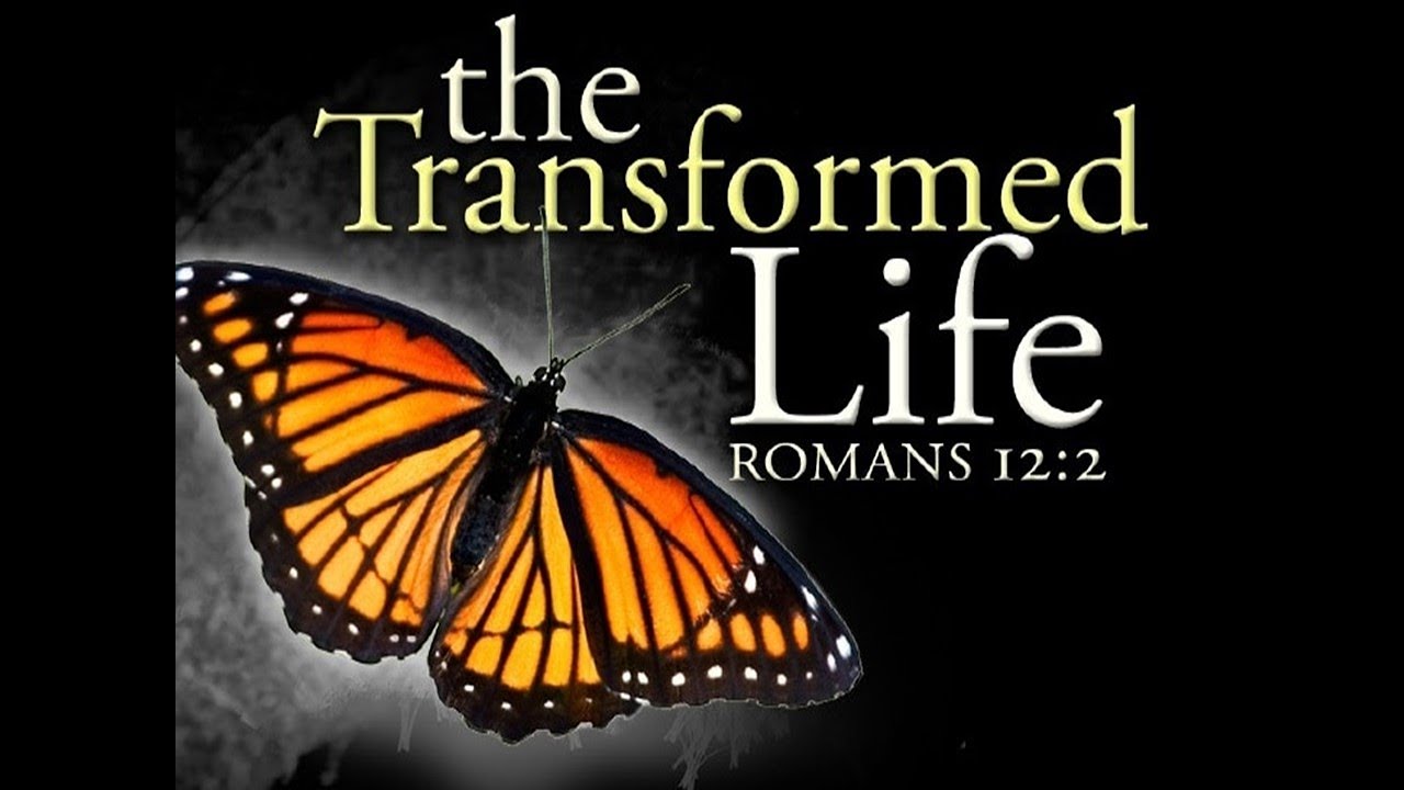 The Transformed Life (Paul White) - YouTube