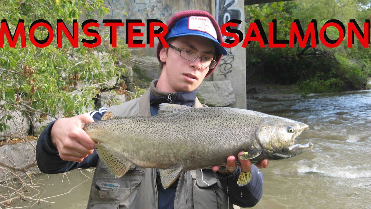 Monster Fall Salmon: 2014 Fall Season - YouTube
