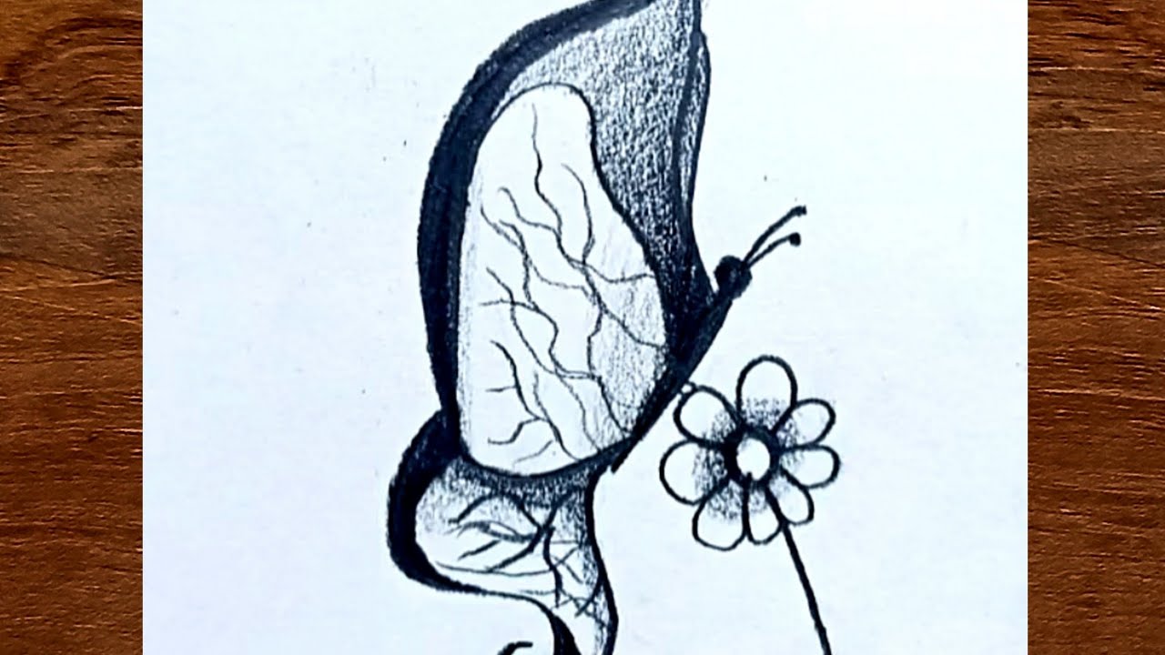 Beautiful Butterfly Drawing || How To Draw A Beautiful Butterfly ...