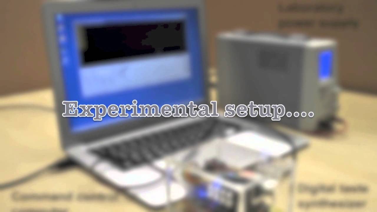 Digital Taste (Electrical and thermal stimulation of taste sensations ...