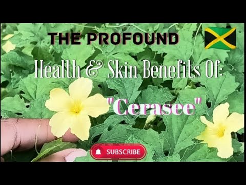 The Profound Health & Skin Benefits Of | Jamaican Cerasee 🇯🇲 - YouTube
