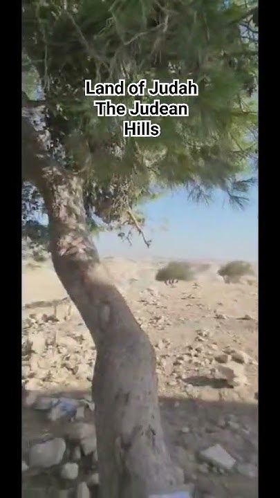 Land of Judah,The Judean Hills - YouTube