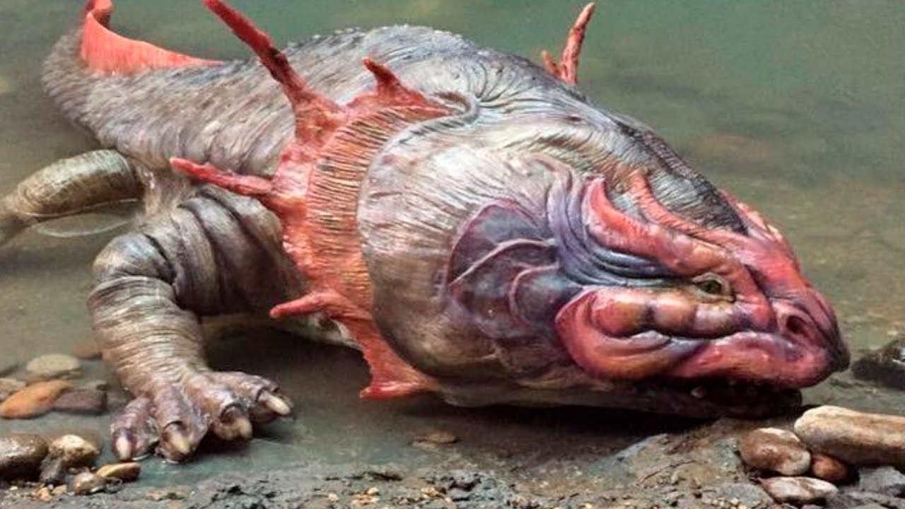 Monstruos Del Río Zambezi Y Tiburones La Tierra De Los Cocodrilos Del