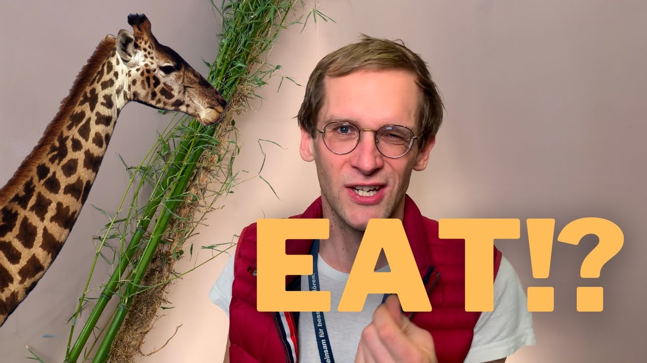 7 Top Tips for Eating Giraffe - YouTube