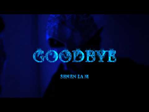 Senen La M - GOODBYE (visualizer)