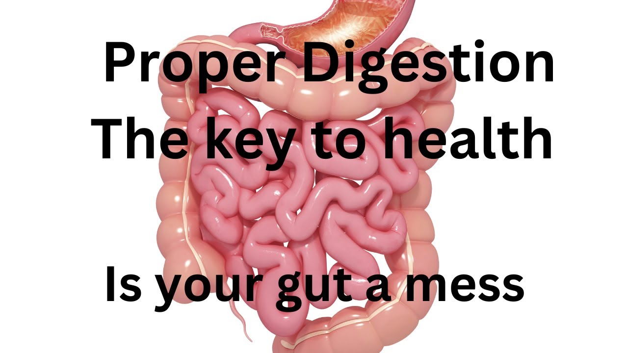 Proper Digestion: the key to health - YouTube
