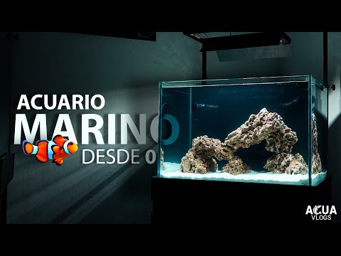 Mi PRIMER ACUARIO MARINO desde CERO | Episodio 1