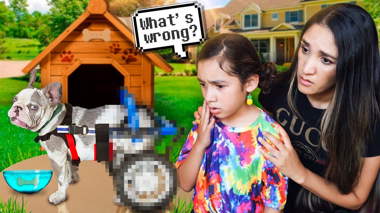 THERE'S SOMETHING WRONG WITH OUR NEW PUPPY!! *Unbelievable* | Jancy ...