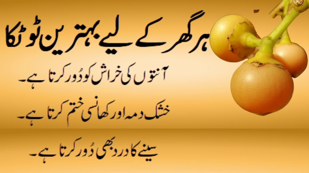 Lasoore Ke Fayde | Lasure Ke Fayde | Lasura Benefits | Lasuray Ke Fayde ...