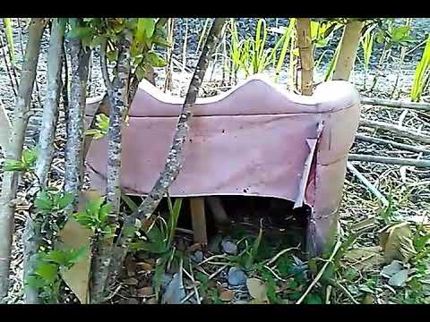 KURSI PALING MISTERIUS DI DUNIA