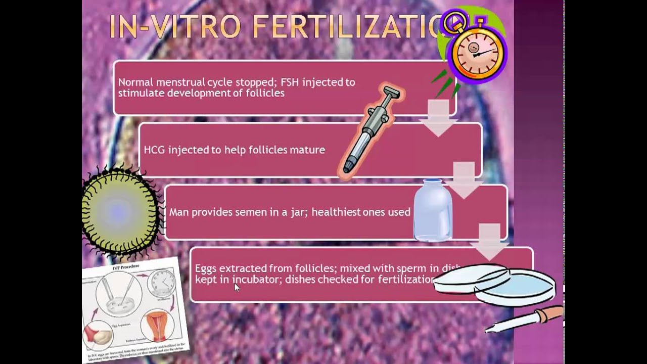 In Vitro Fertilization IVF (IB Biology) - YouTube