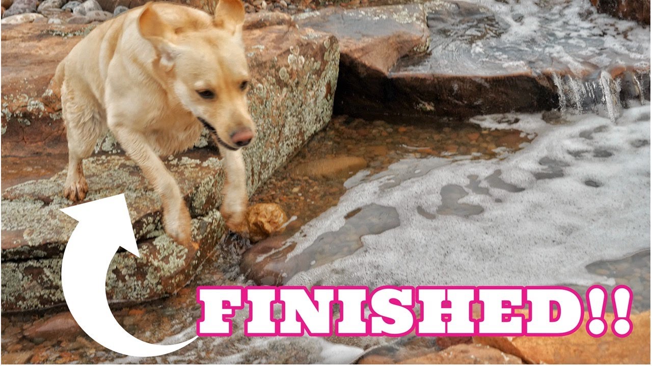 *DOG WATER PARK* (FINISHED) Pondless Waterfall & Stream in FRONT YARD ...
